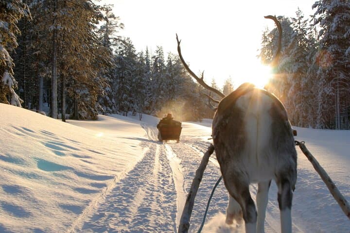 Husky Ride, Reindeer Ride and Ice Fishing One Day Experience from $496. ...