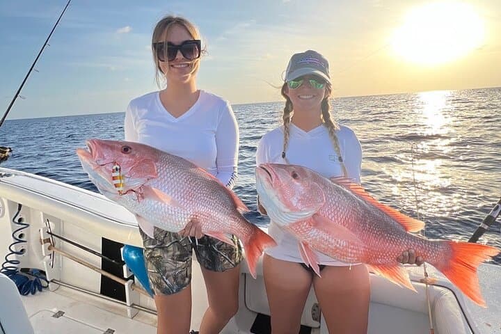 Offshore Fishing Charter Deep Sea Fishing in Marco Island from $950 ...